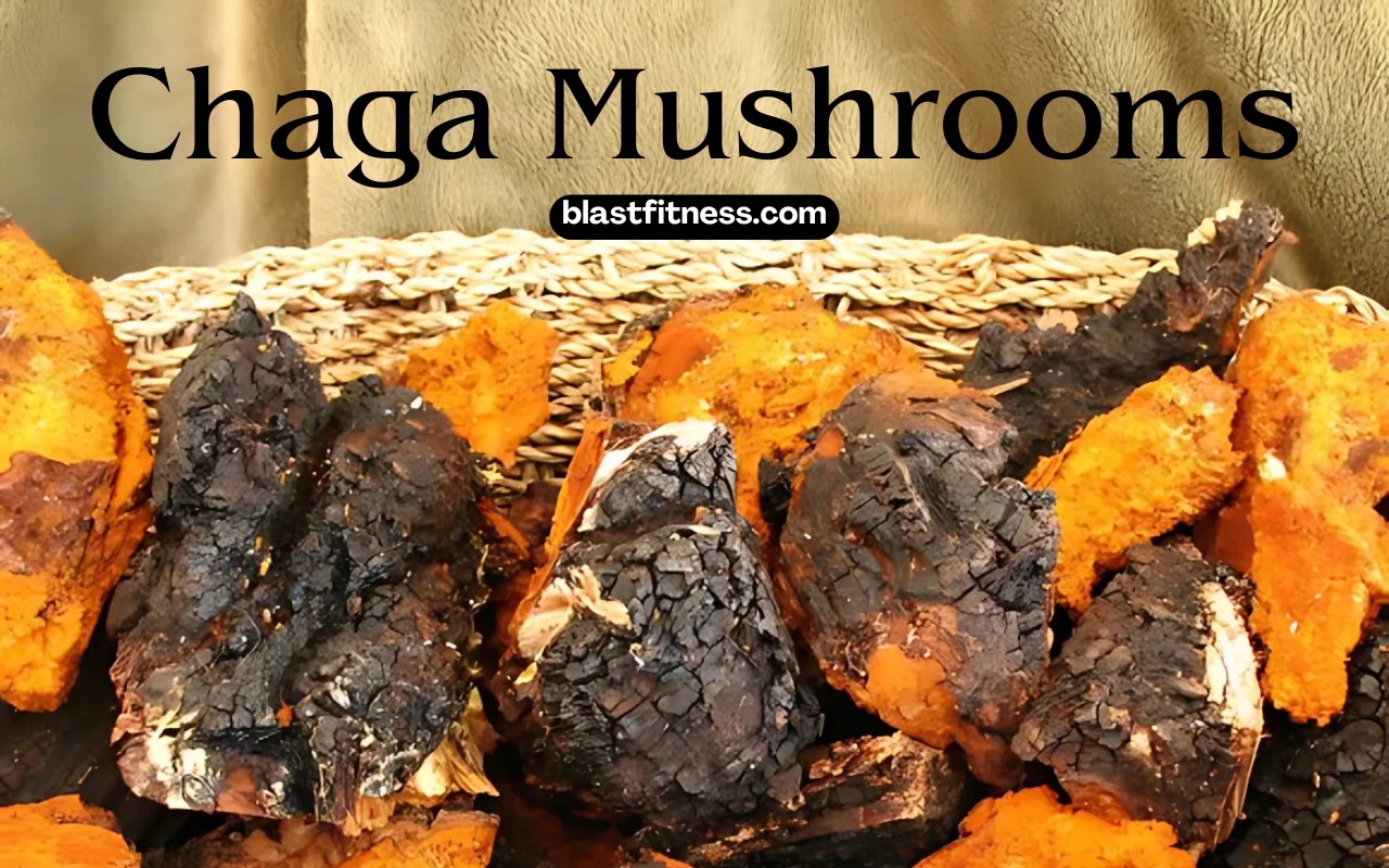 Chaga Mushrooms and Antioxidants: How They Support Recovery and Performance